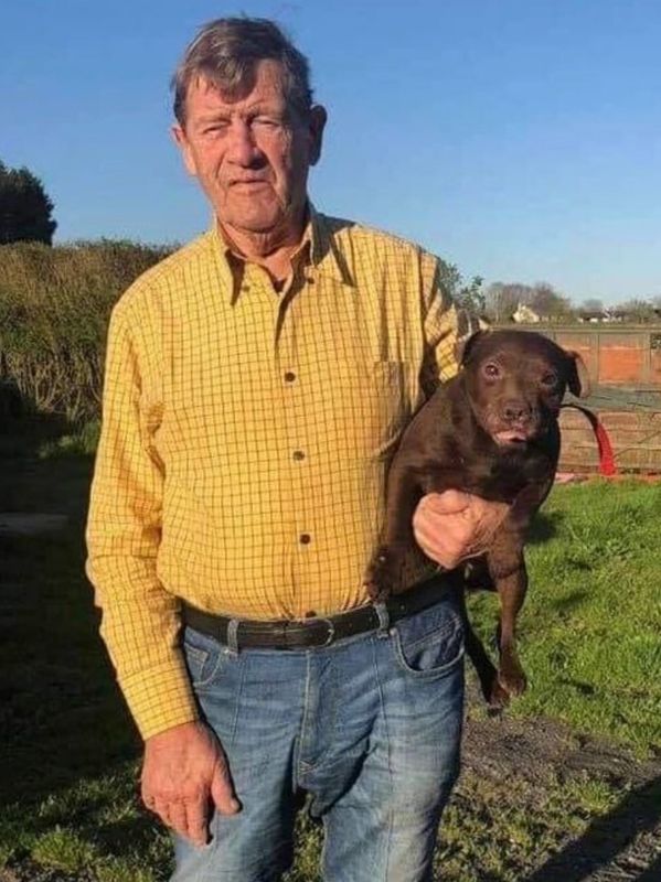 The Patterdale Terrier